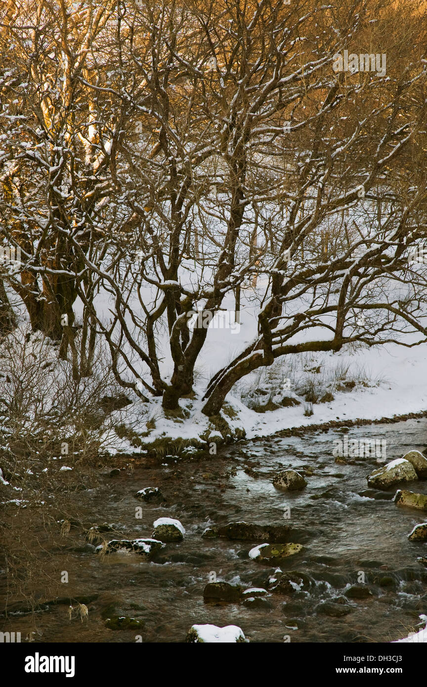 West Dart River in snowy conditions, at Two Bridges, Dartmoor National ...