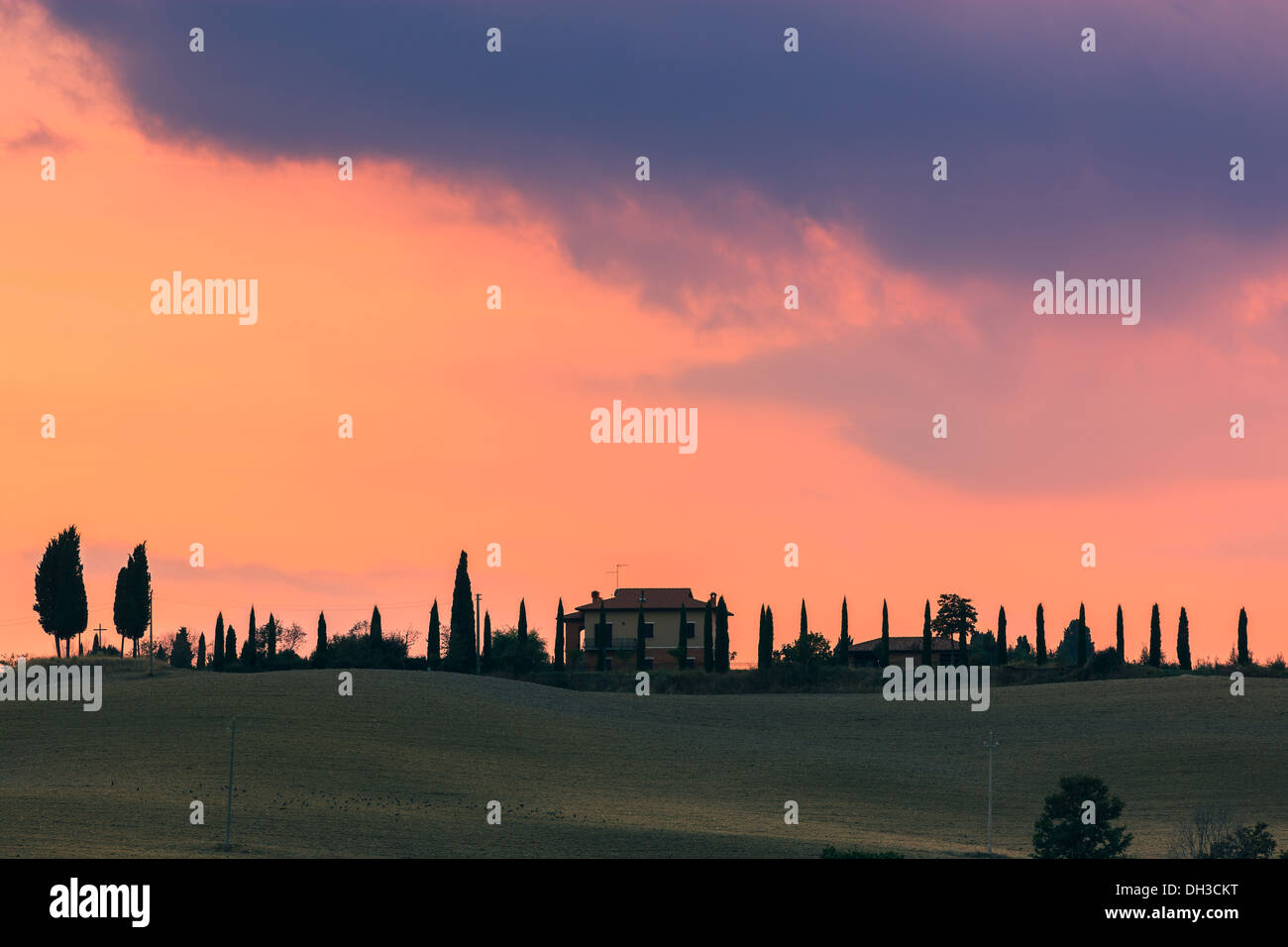 Cypress trees house hi-res stock photography and images - Alamy