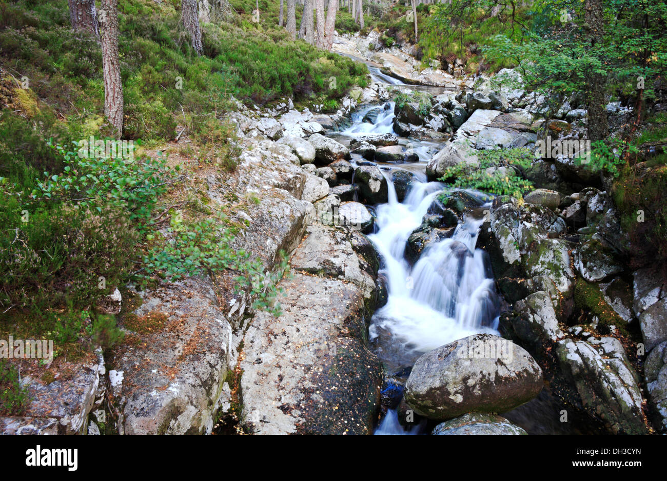 Hydraulic Action Weathering