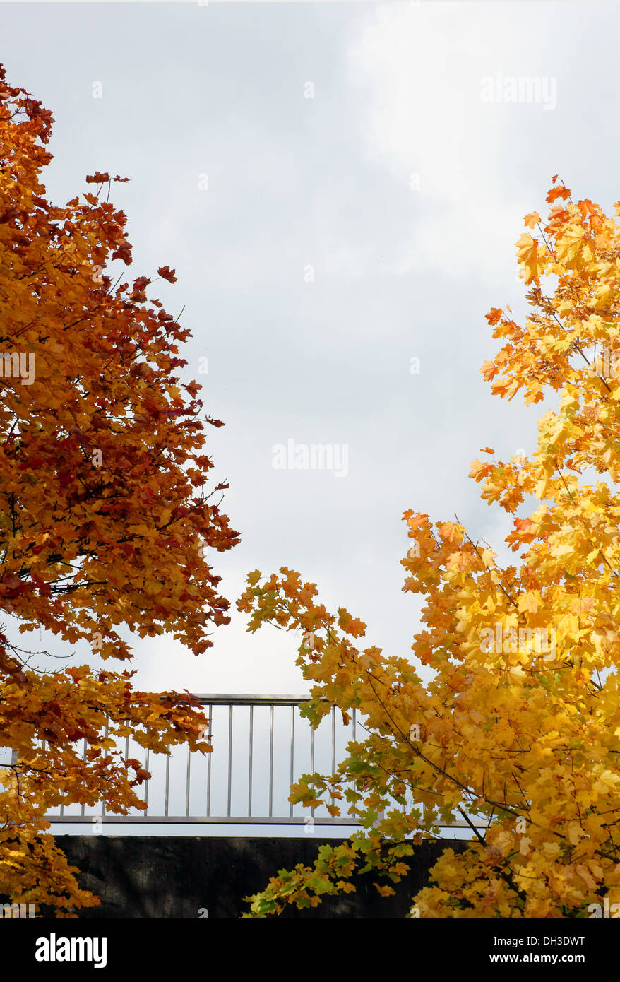 Bridge railing in autumn Stock Photo - Alamy