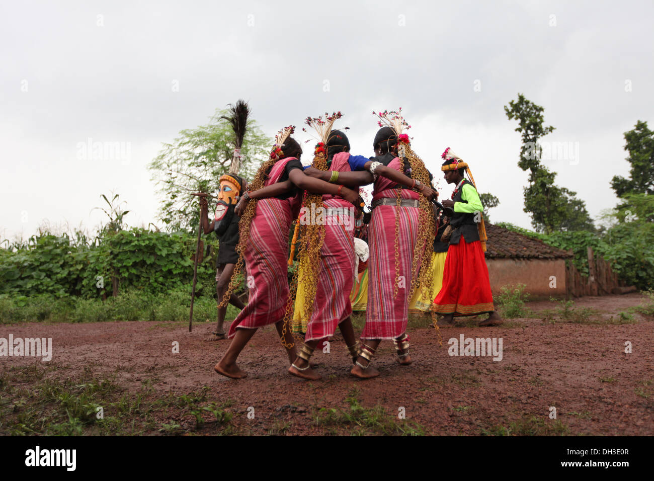 Tribal dance. Baiga Tribe, Chada village, Madhya Pradesh, India Stock ...