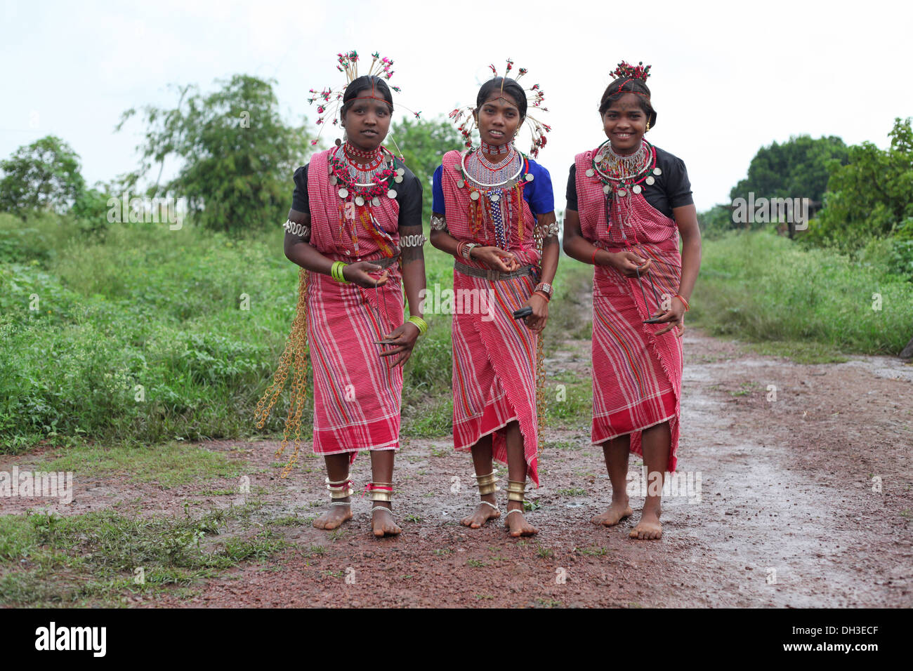 Tribal dance. Baiga Tribe, Chada village, Madhya Pradesh, India. Rural ...