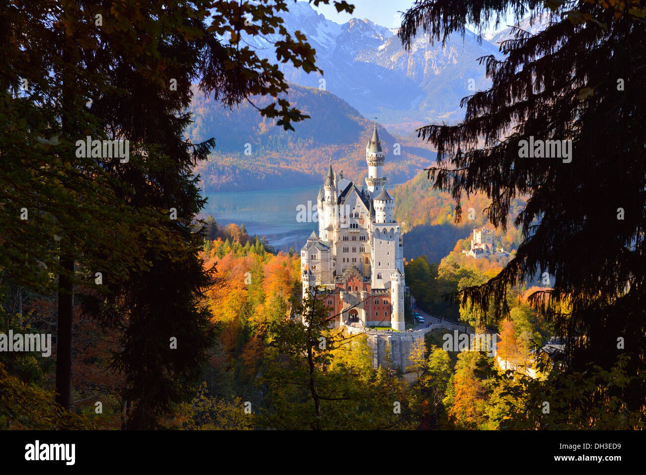 Schloss Neuschwanstein castle, Allgäu, Schwangau, Ostallgäu, Allgäu ...
