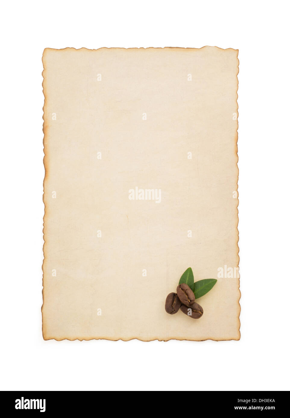 coffee concept and parchment isolated on white background Stock Photo ...