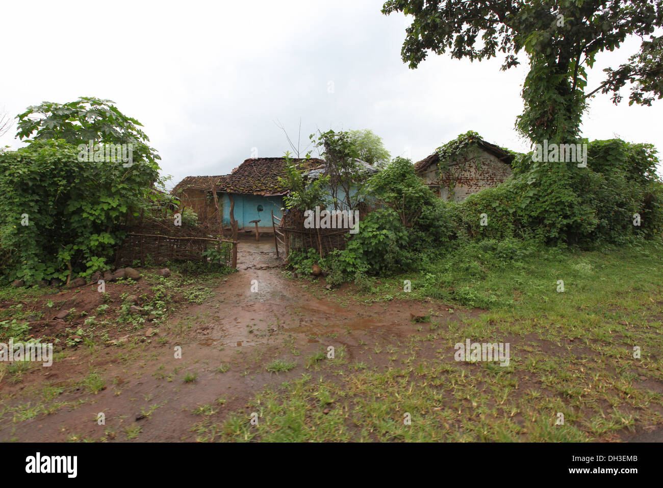 Huts or Homes. Baiga Tribe, Chada village, Madhya Pradesh, India Stock ...