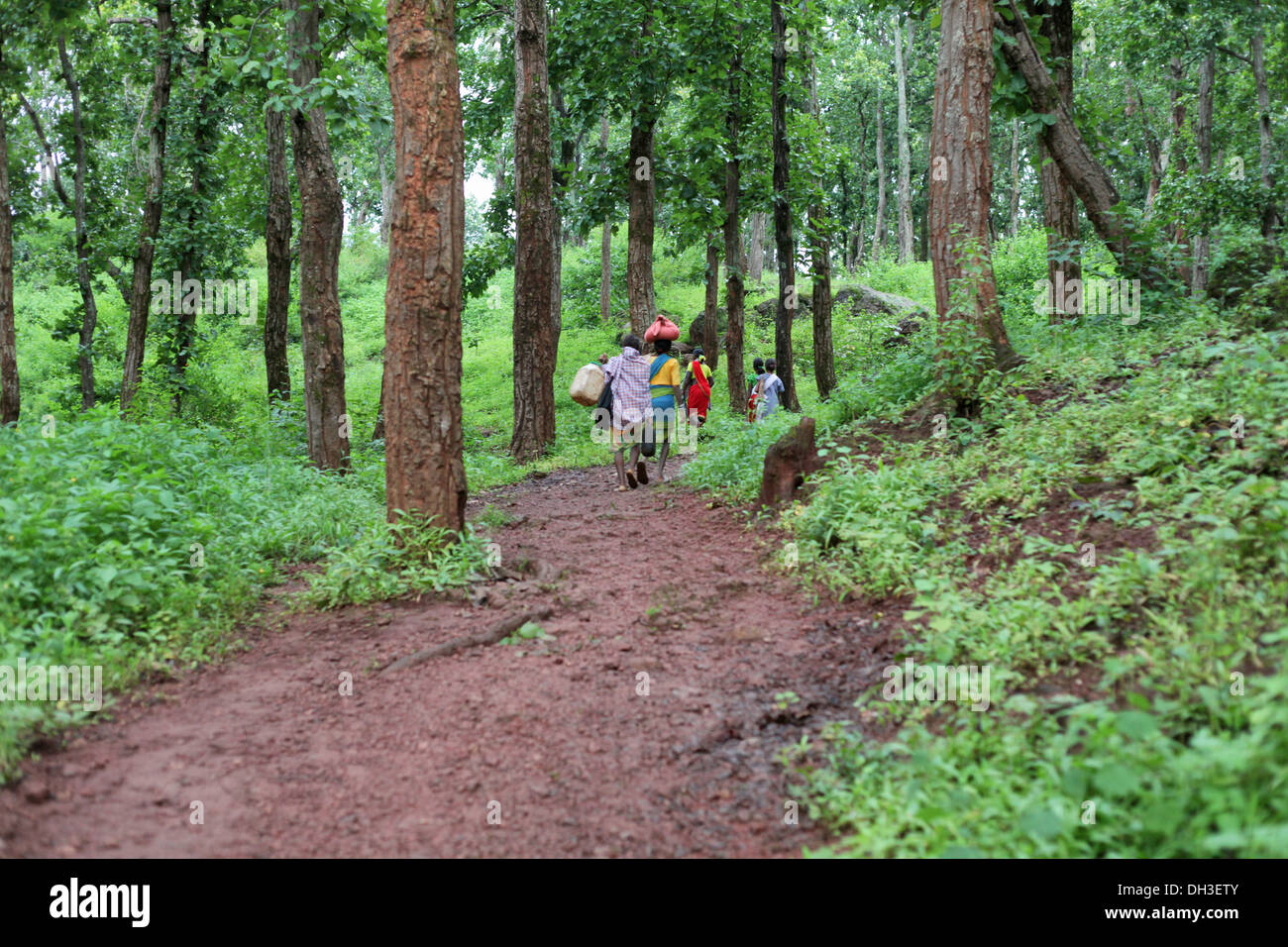 Madhya pradesh village forest hi-res stock photography and images - Alamy