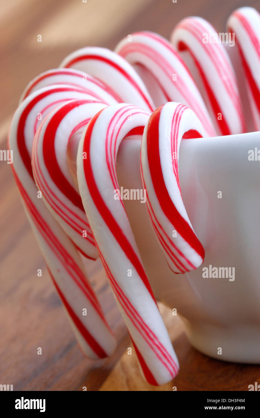 Delicious sweet candy canes a christmas traditional sweet indulgence ...