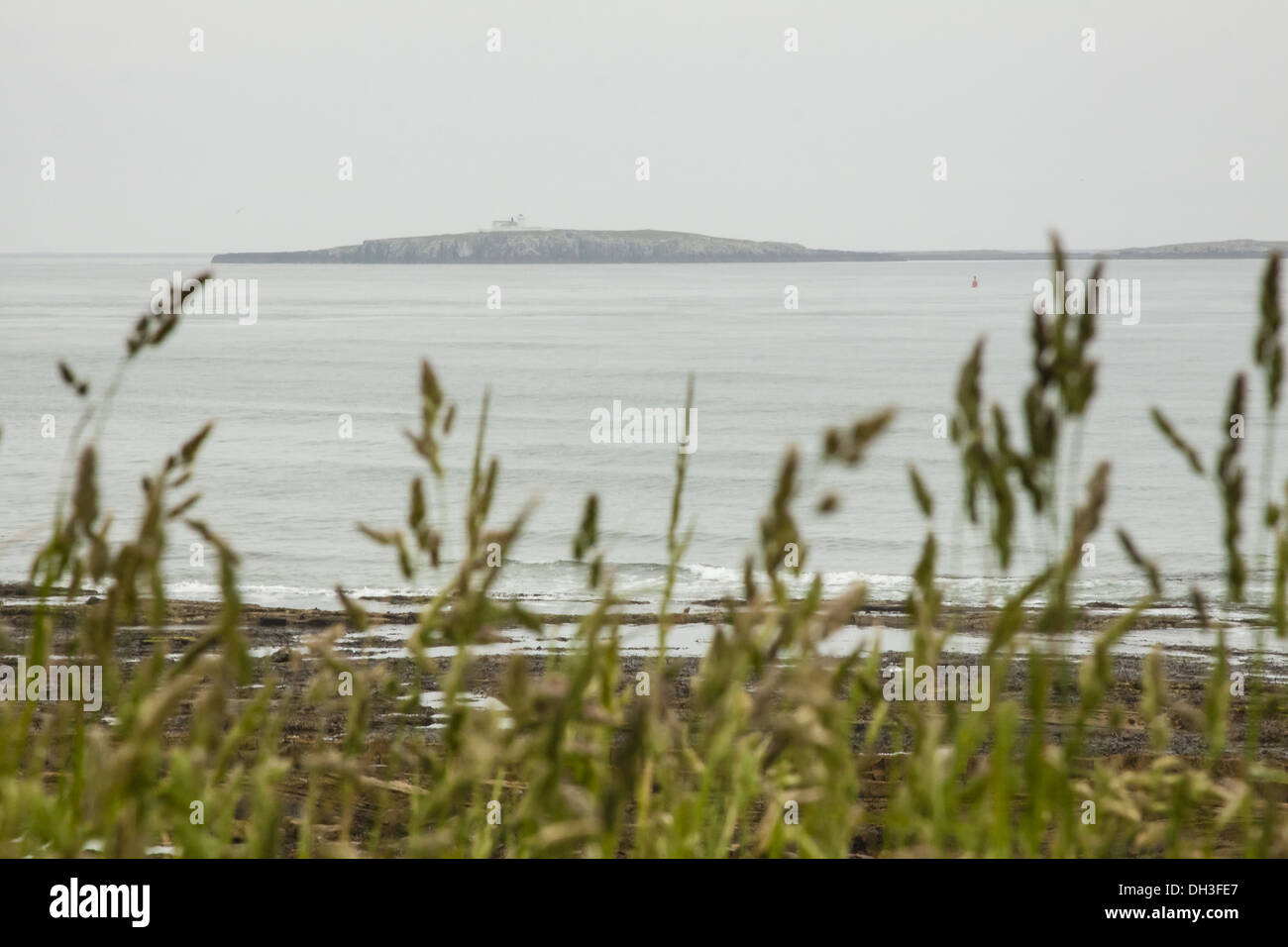 Seahouses coastline hi-res stock photography and images - Alamy