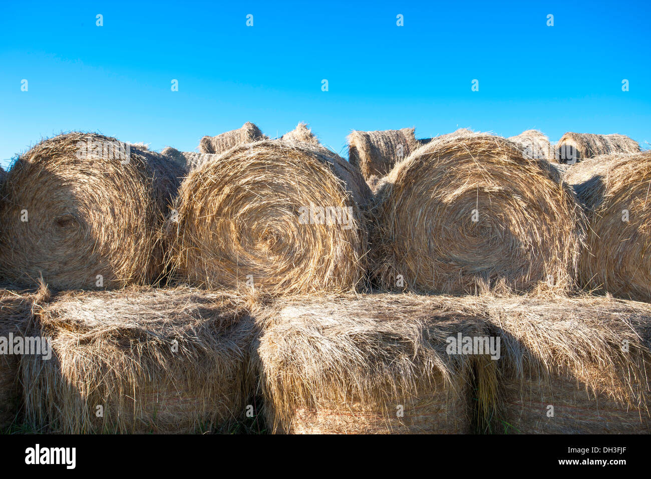 Stacked hay bundles Stock Photo - Alamy