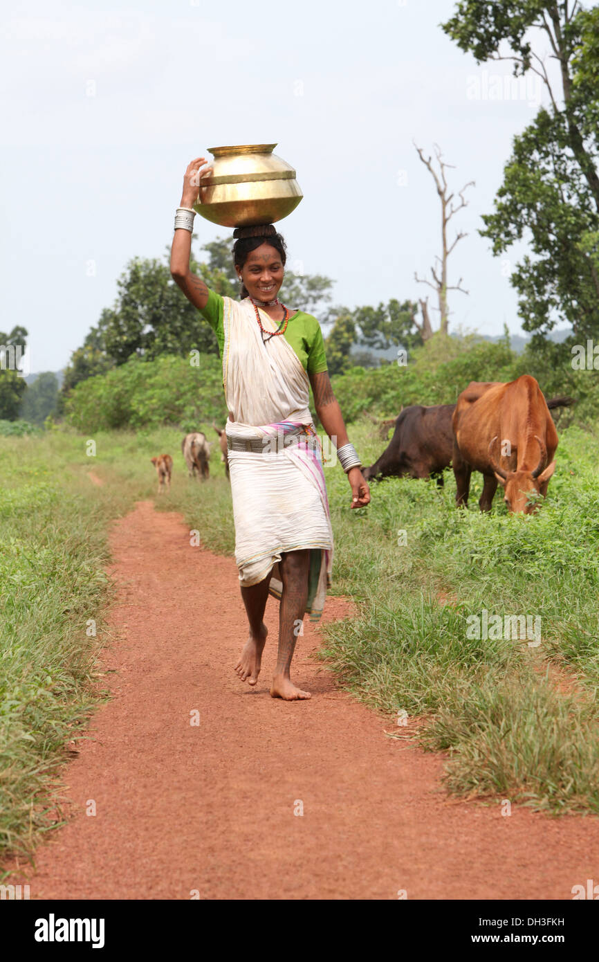 Tribal woman carrying drinking water pot, Chada village, Madhya Pradesh ...