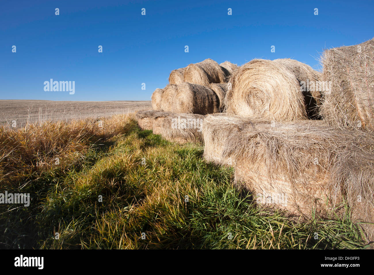 Hay bundles hi-res stock photography and images - Alamy