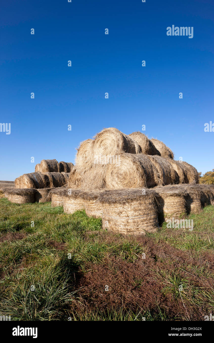 Large bundles of hay Stock Photo - Alamy