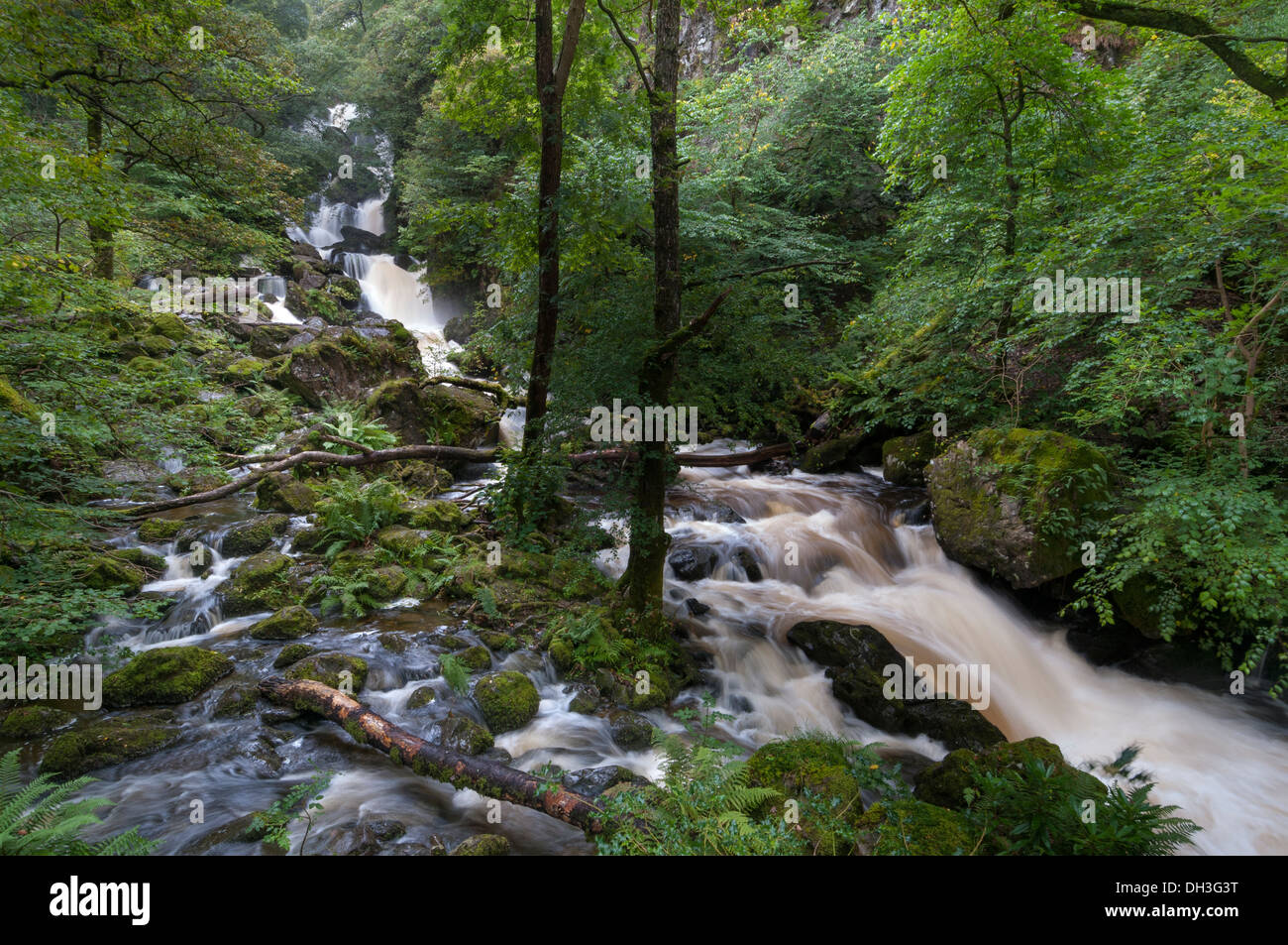 The lodore falls in the lake district Stock Photo - Alamy