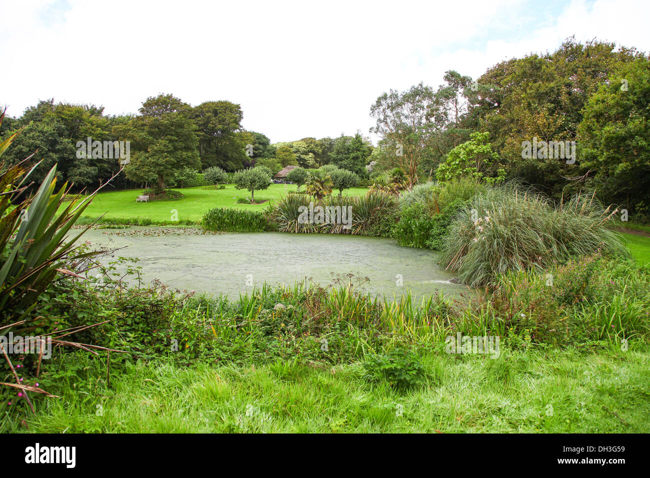 One of the ponds at Bonython Estate Gardens, Garden, Helston, Cornwall ...