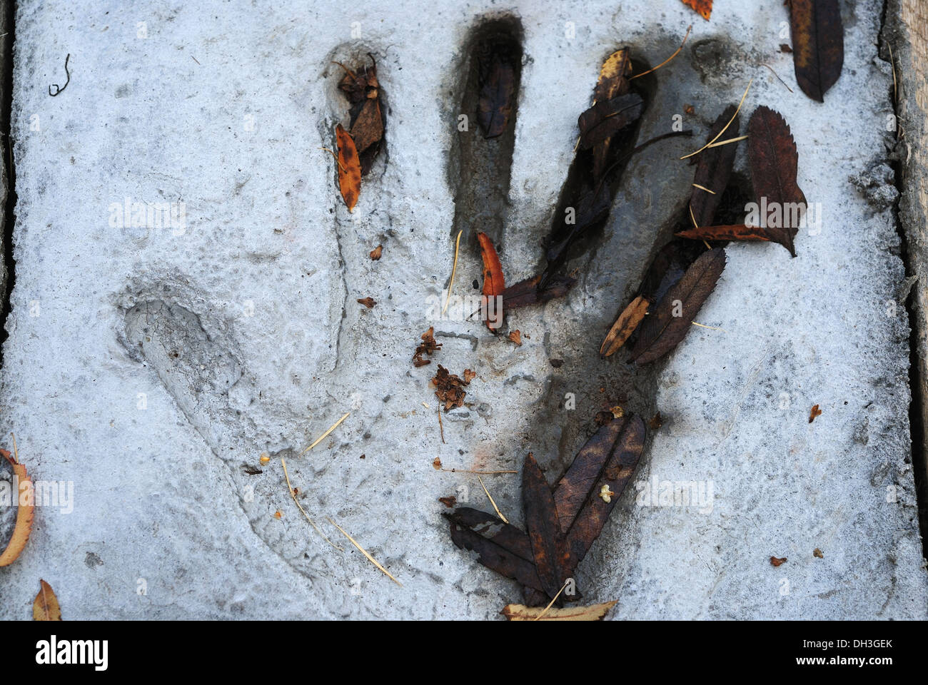 Hand print in concrete hi-res stock photography and images - Alamy