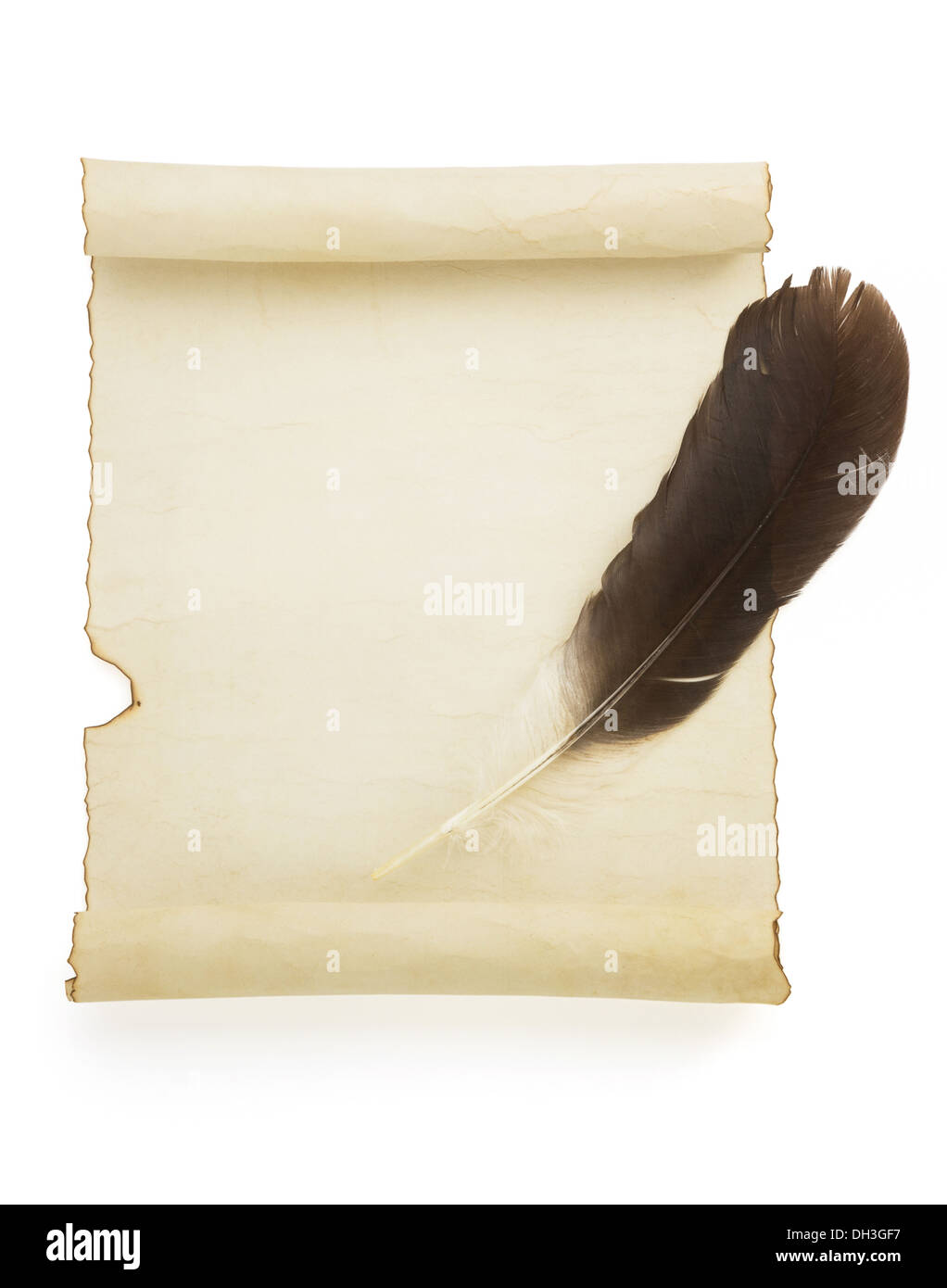 parchment scroll isolated on white background Stock Photo - Alamy