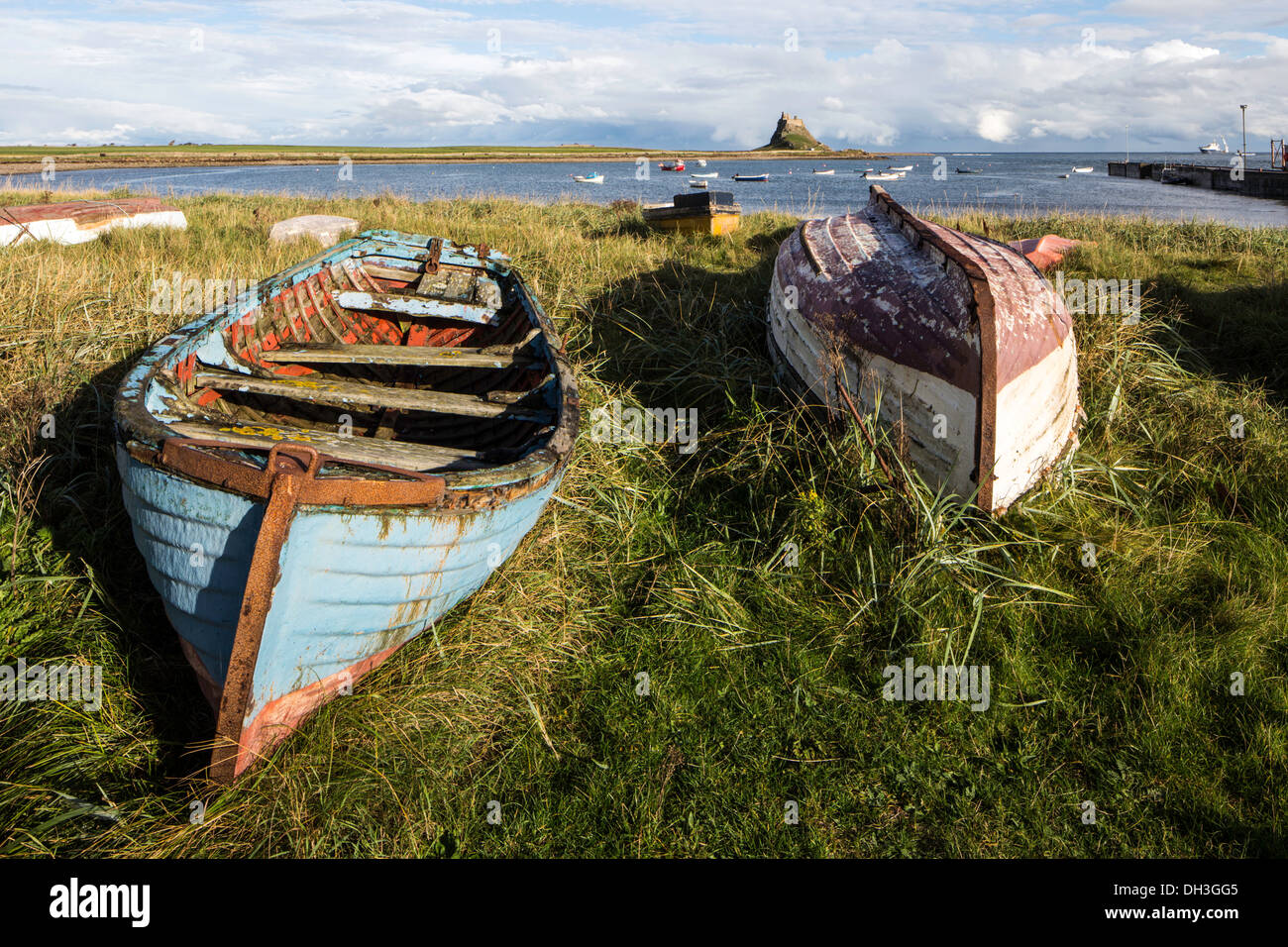 Old wooden Coble fishing boats on Holy Island and the distant ...