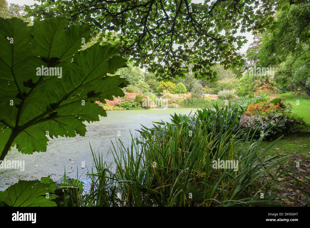 One of the ponds at Bonython Estate Gardens, Garden, Helston, Cornwall ...