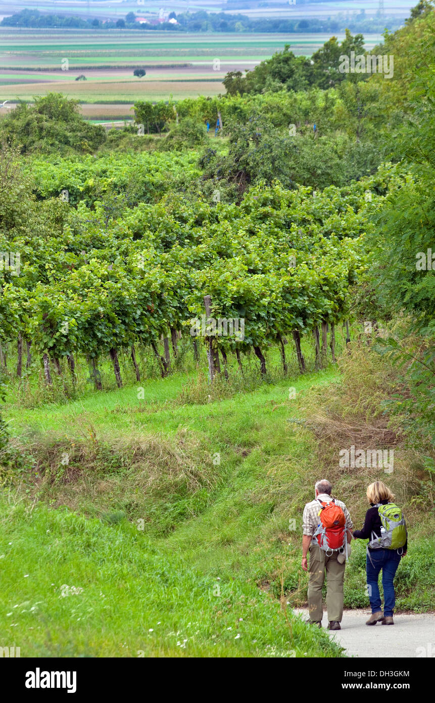 Austria countryside hi-res stock photography and images - Alamy