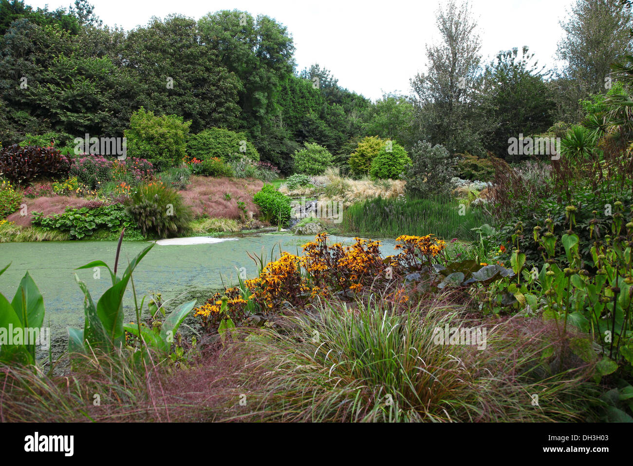 One of the ponds at Bonython Estate Gardens, Garden, Helston, Cornwall ...
