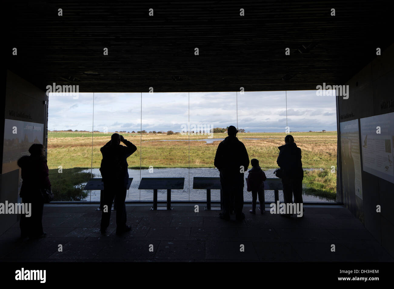 New bird viewing station at Lindisfarne, Northumberland, England, UK ...