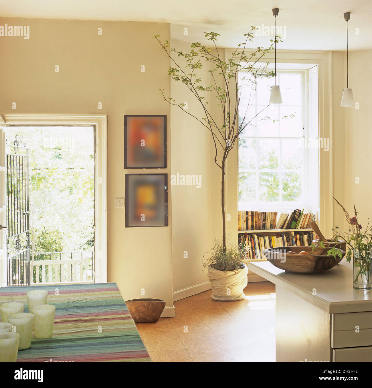 Indoor tree in pot beside tall window in kitchen dining room with ...
