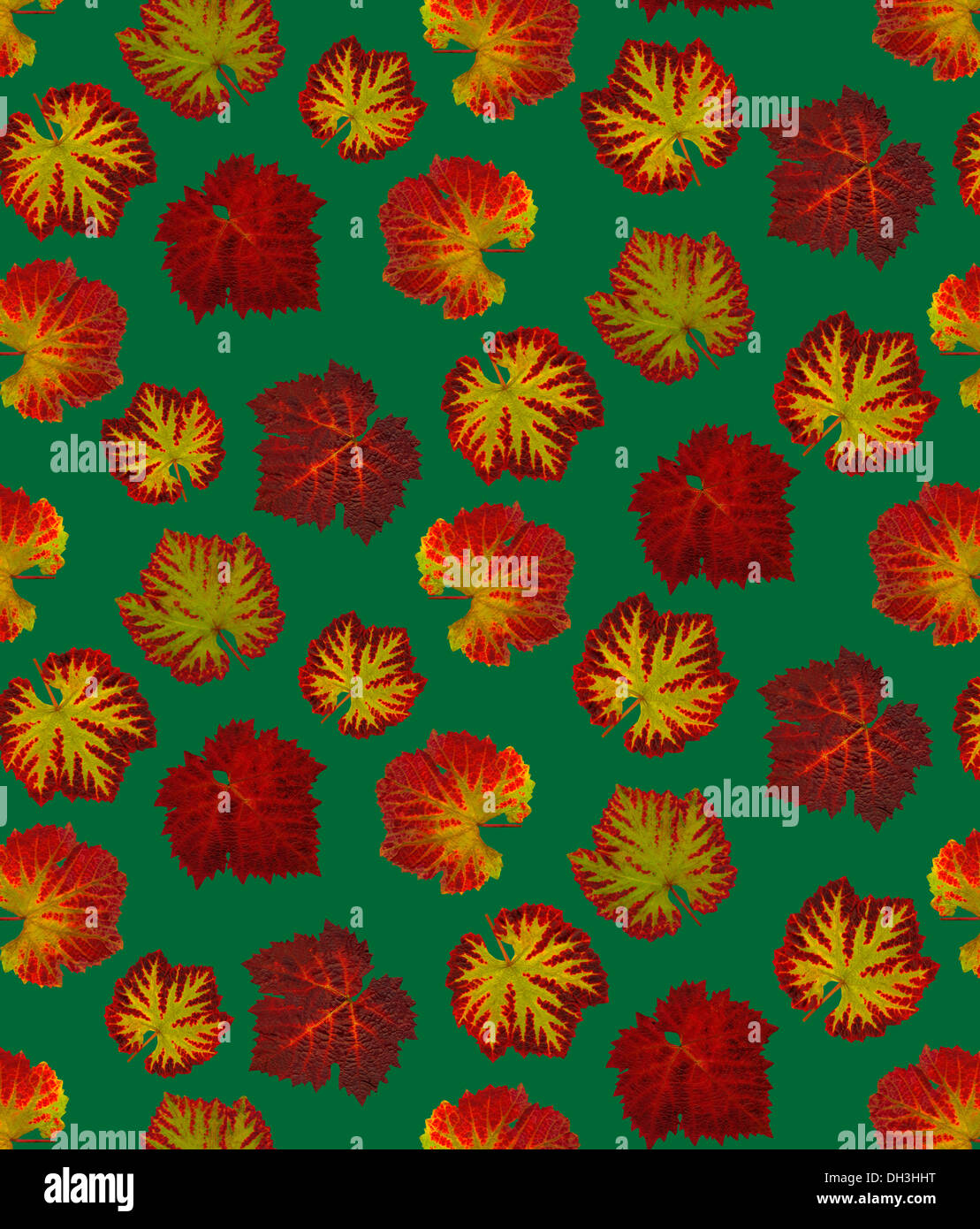 Vine pattern hi-res stock photography and images - Alamy