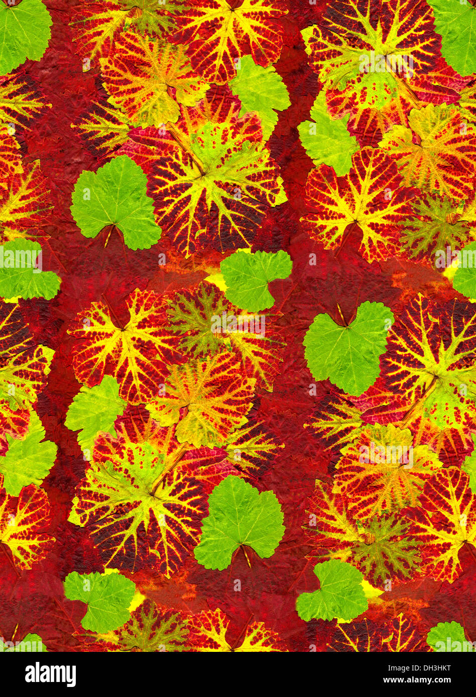 Vine textures hi-res stock photography and images - Alamy