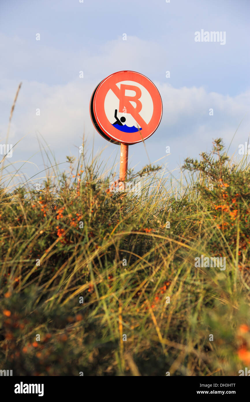 Swimming prohibited sign. Focused on the sign, surrounded by grass and ...