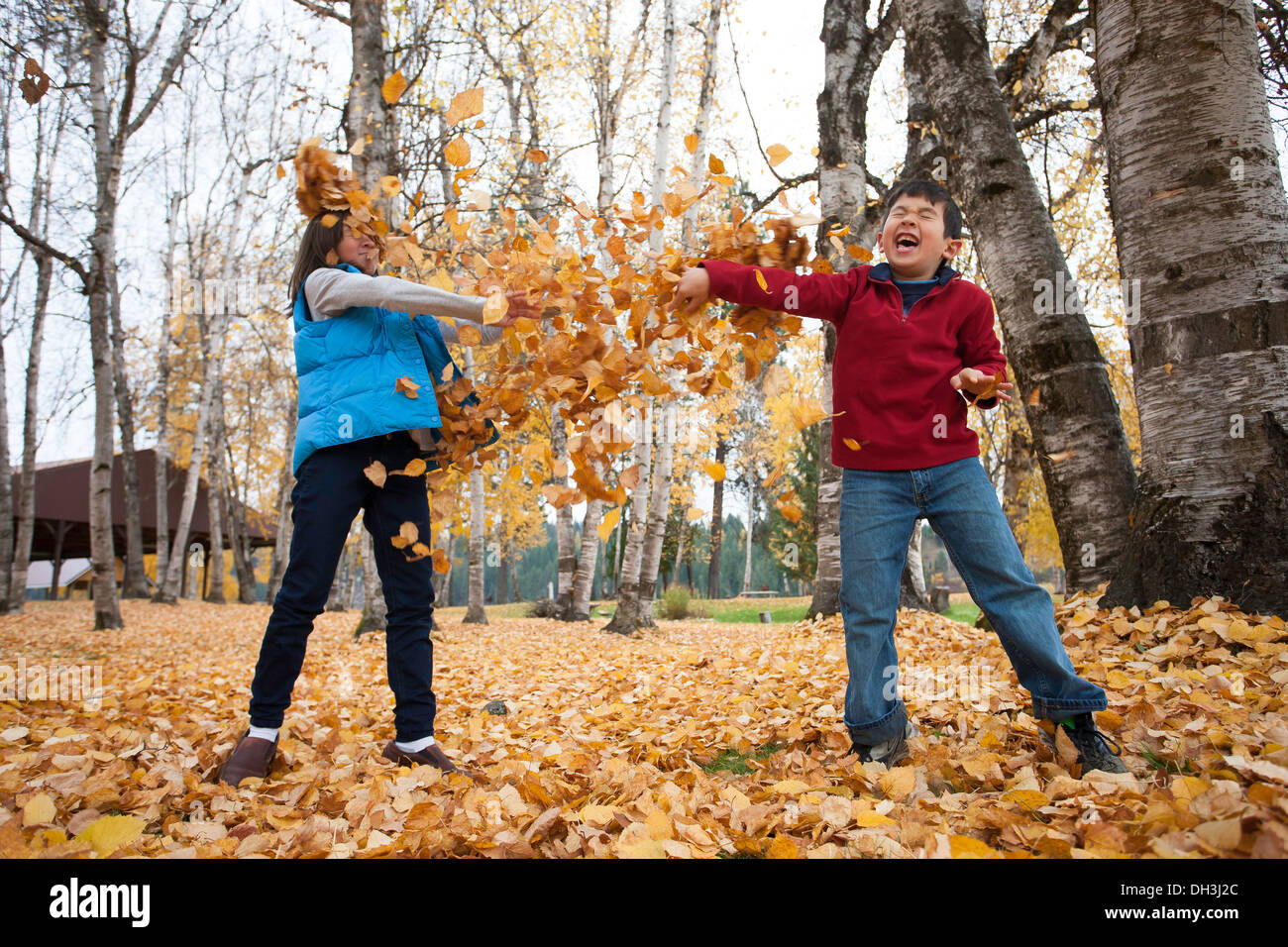 Getting smeared in leaf fight Stock Photo - Alamy