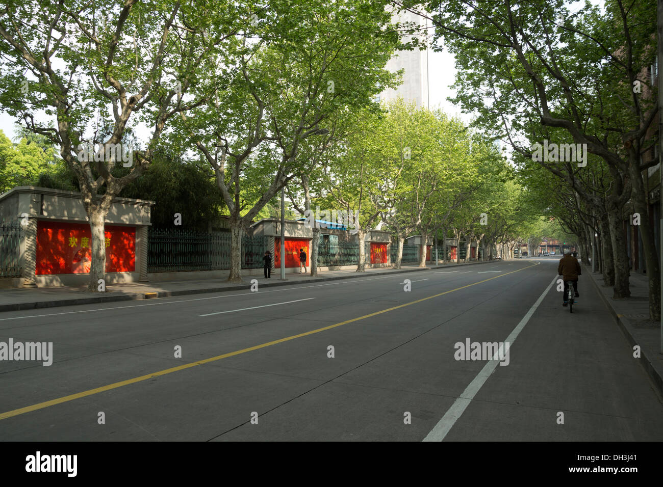 Quiet tree-lined street in Shanghai China Stock Photo - Alamy