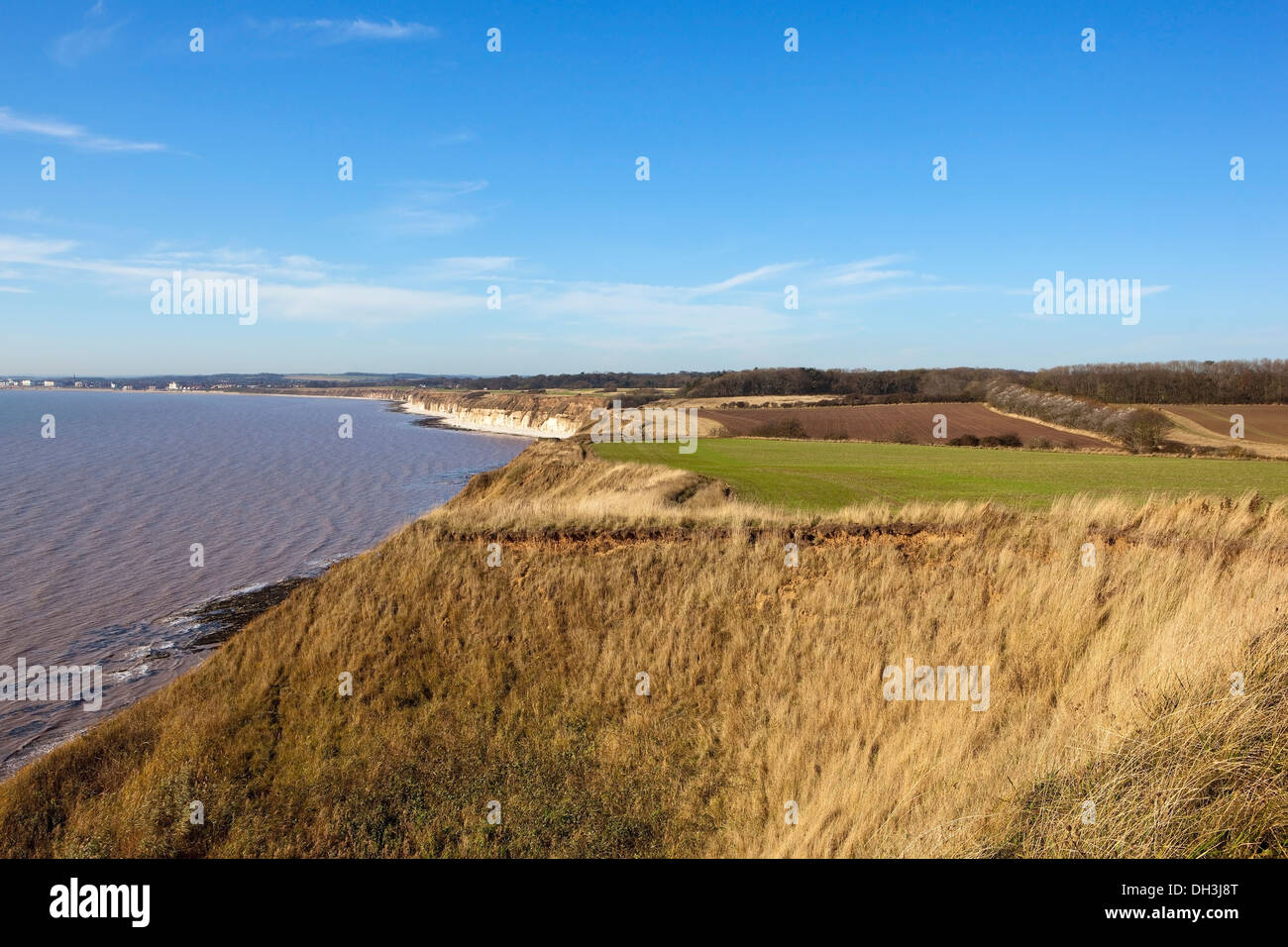 Steep, grassy, limestone cliffs and arable fields by Yorkshire's East ...