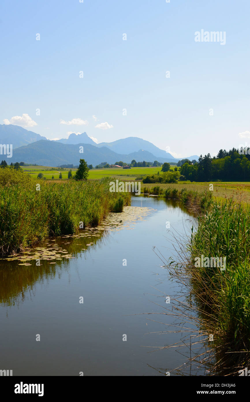 Ach River at Lake Hopfensee, Hopfen am See, Allgäu, Upper Bavaria ...