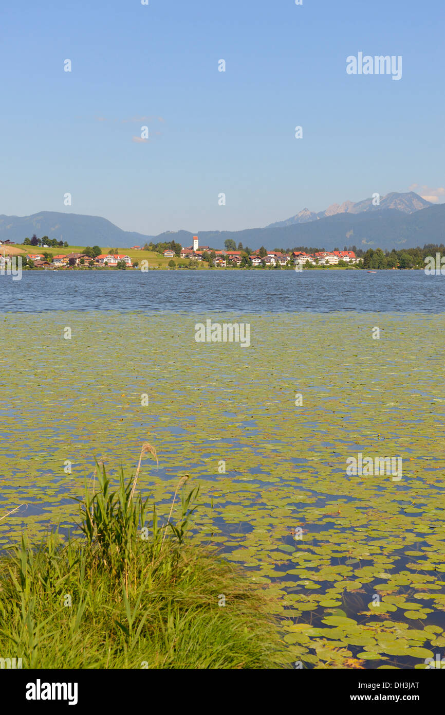 See hopfensee deutschland hi-res stock photography and images - Alamy