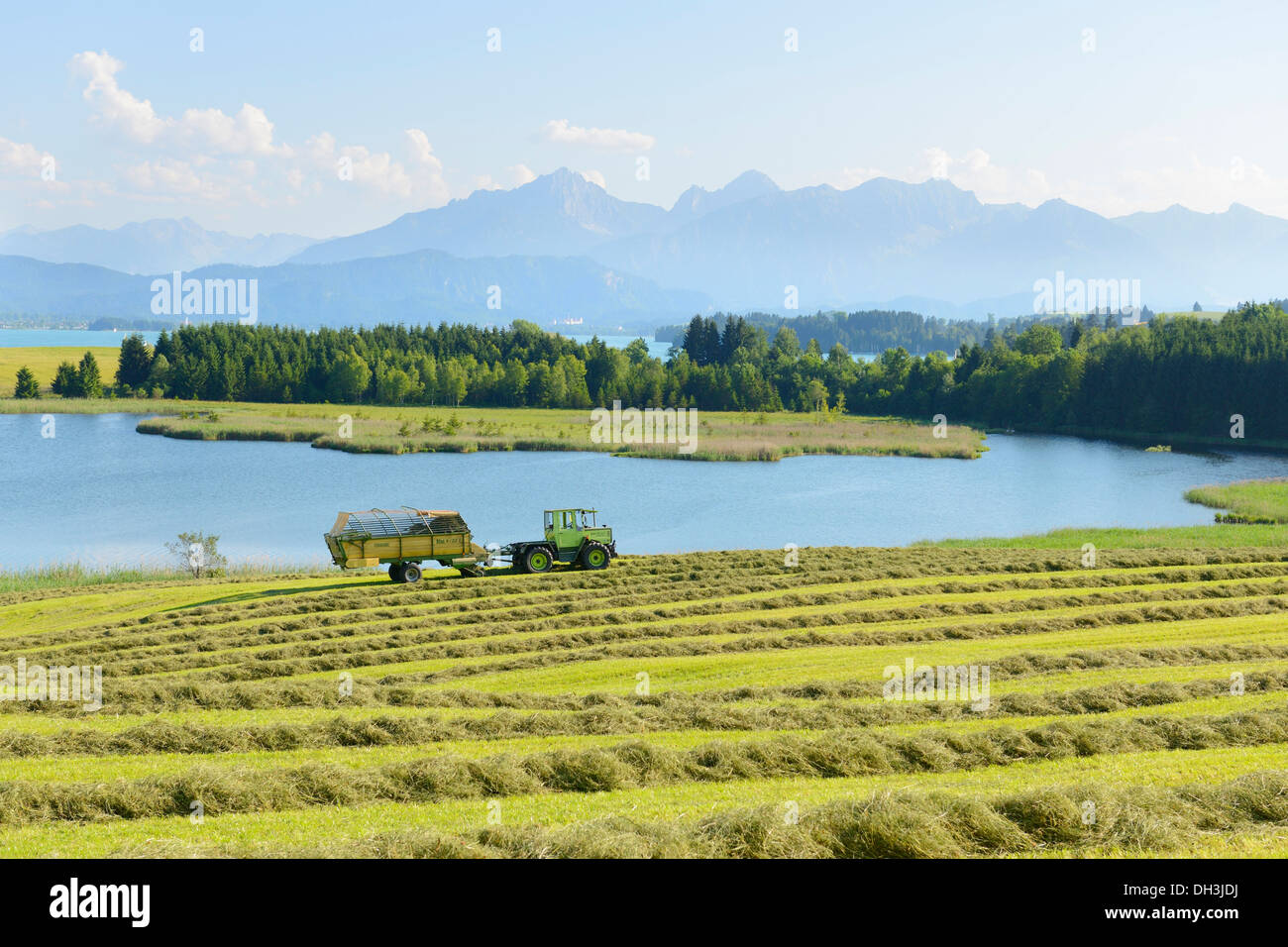 Illasbergsee lake, part of Forggensee Lake, Hopfensee Lake at back ...