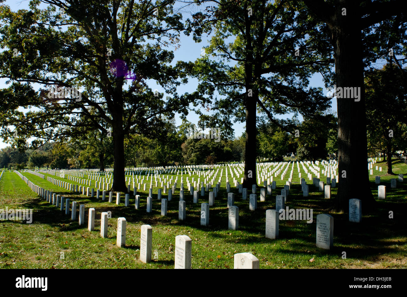 Rows of headstones in Arlington National Cemetery Stock Photo - Alamy