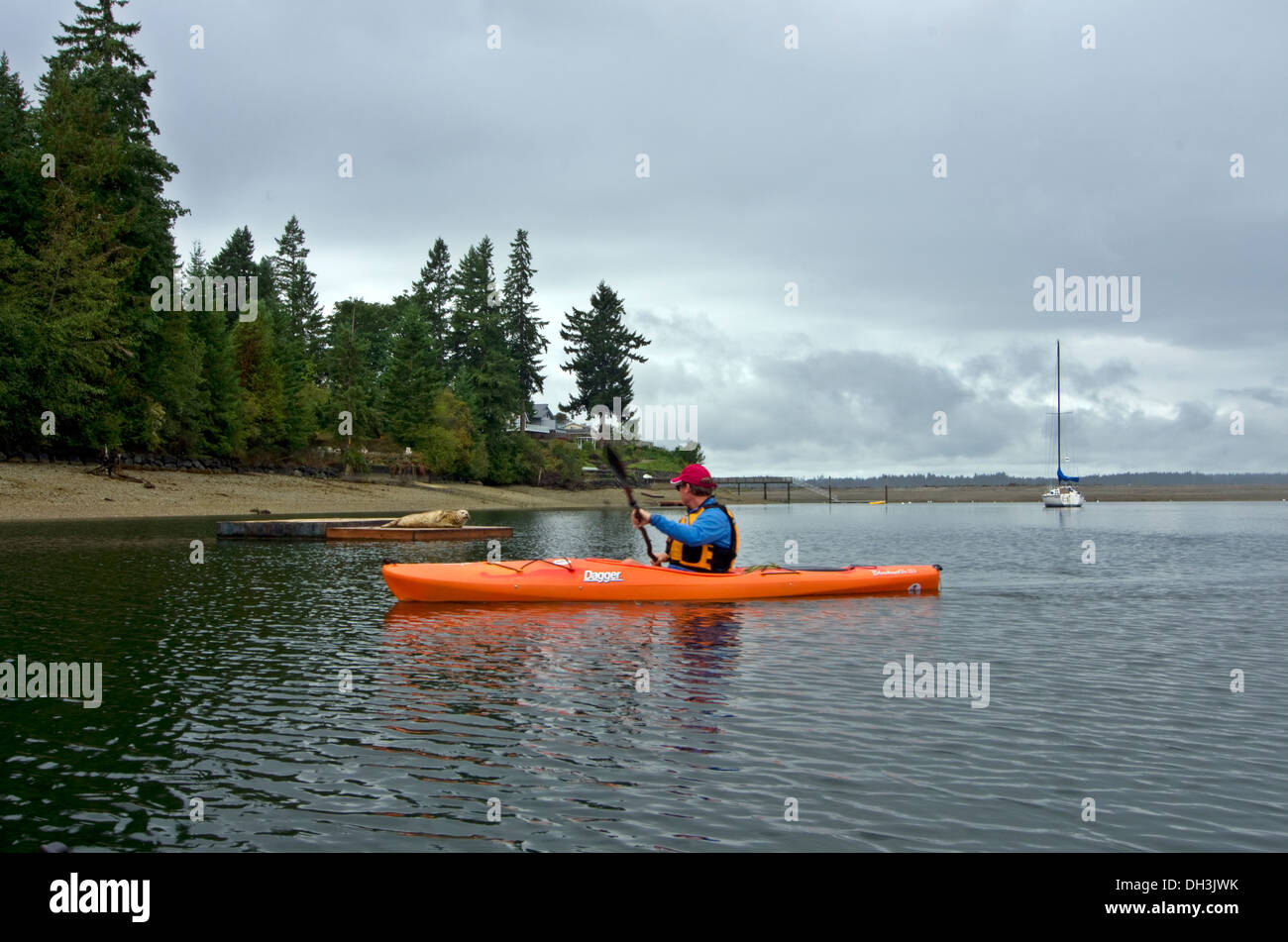 Kayaking in Puget Sound Washington Seal Vaugh Bay Stock Photo - Alamy