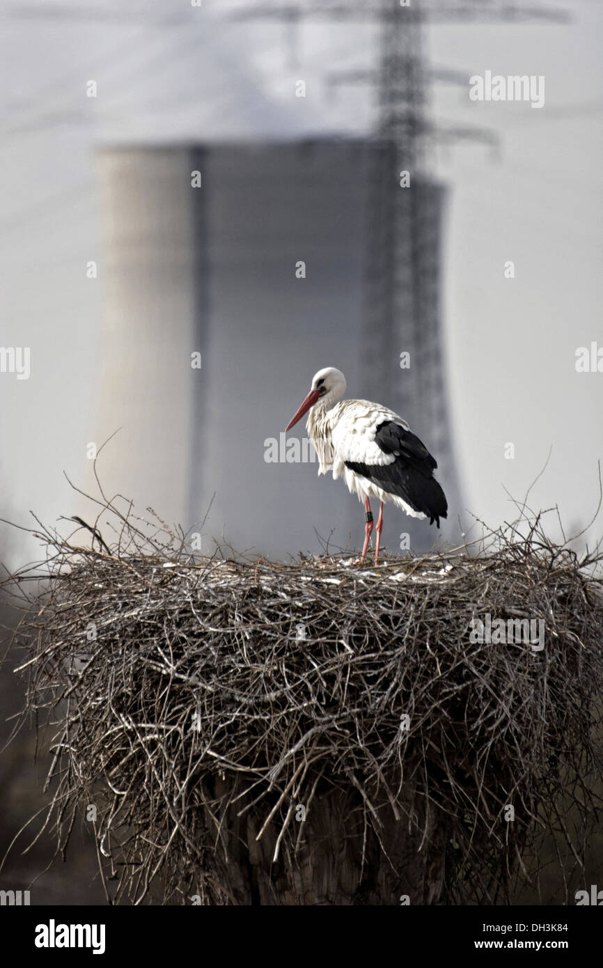 Atomic energy nuclear power plant npp npp hi-res stock photography and ...