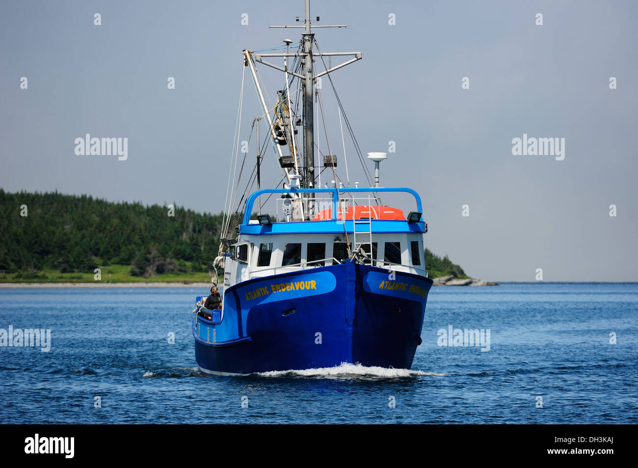 Harbor newfoundland hi-res stock photography and images - Alamy