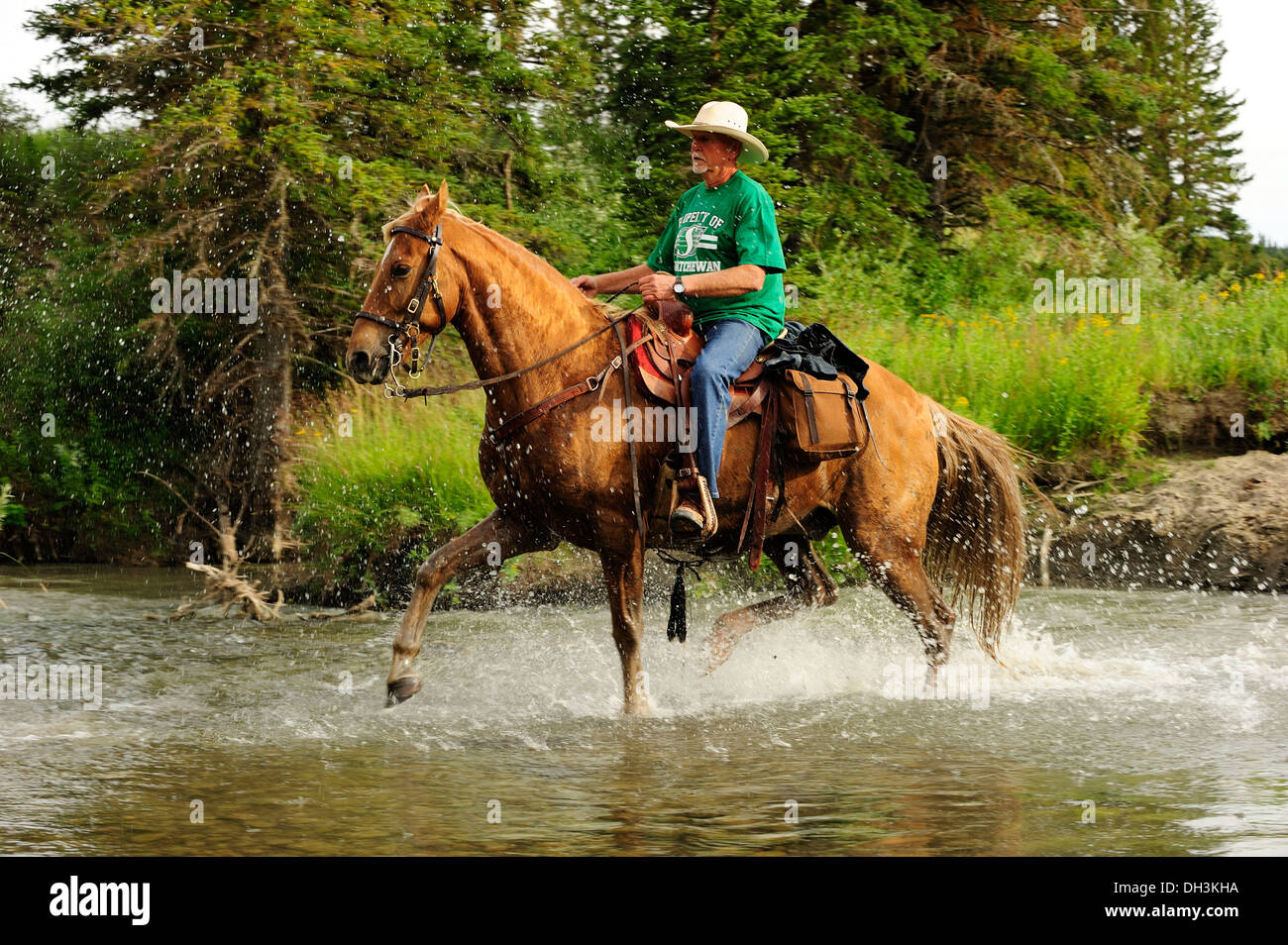 Cowboy riding through a river with splashing water, Saskatchewan ...