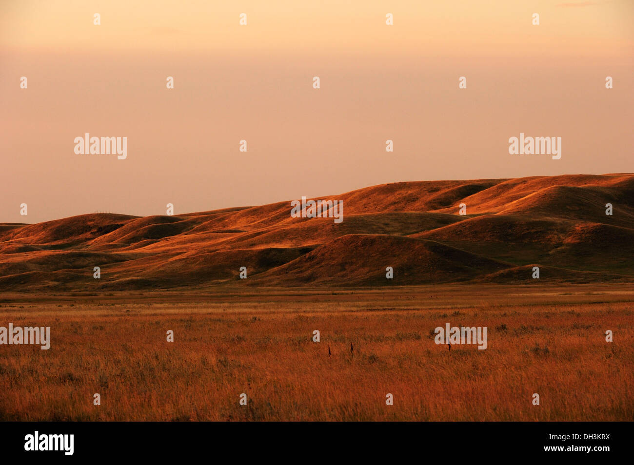 Gentle rolling hills of the prairie, Grasslands National Park ...