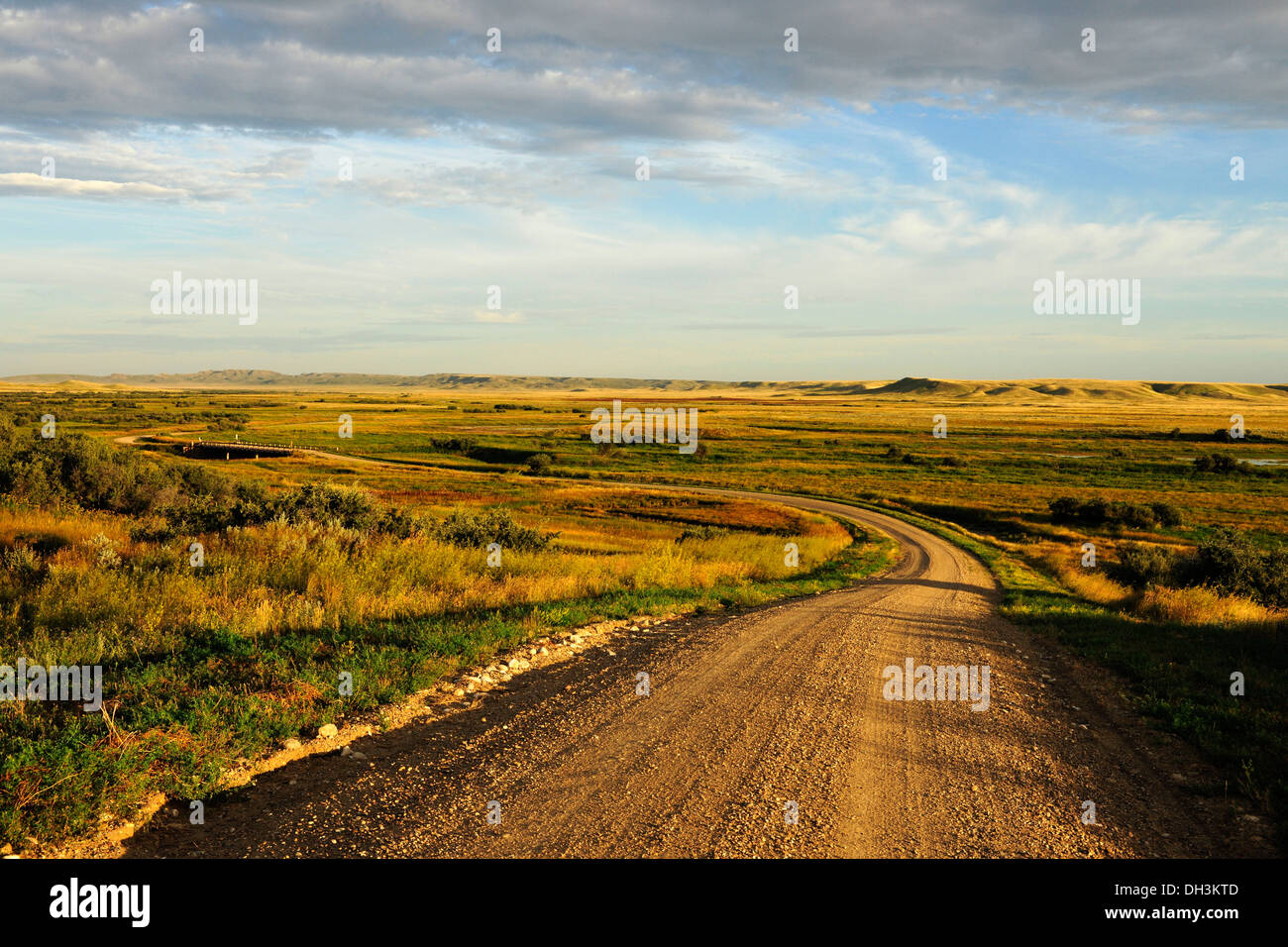 Dirt road through prairie hi-res stock photography and images - Alamy