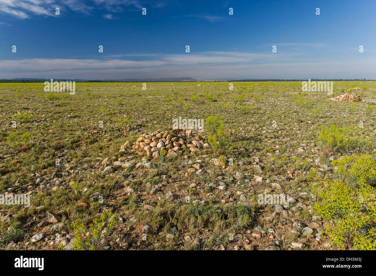 Crau plain hi-res stock photography and images - Alamy