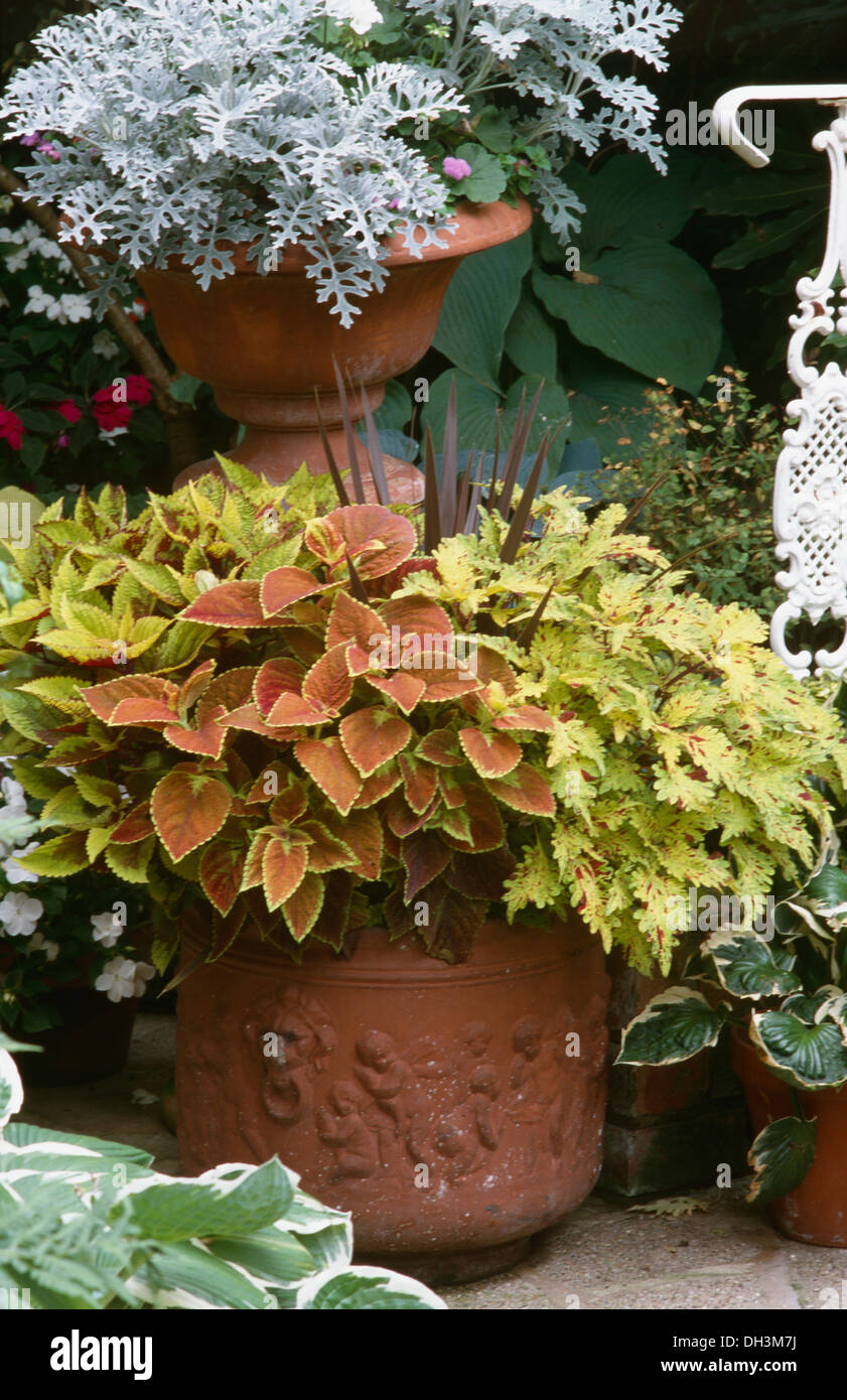 Bronze foliage hi-res stock photography and images - Alamy