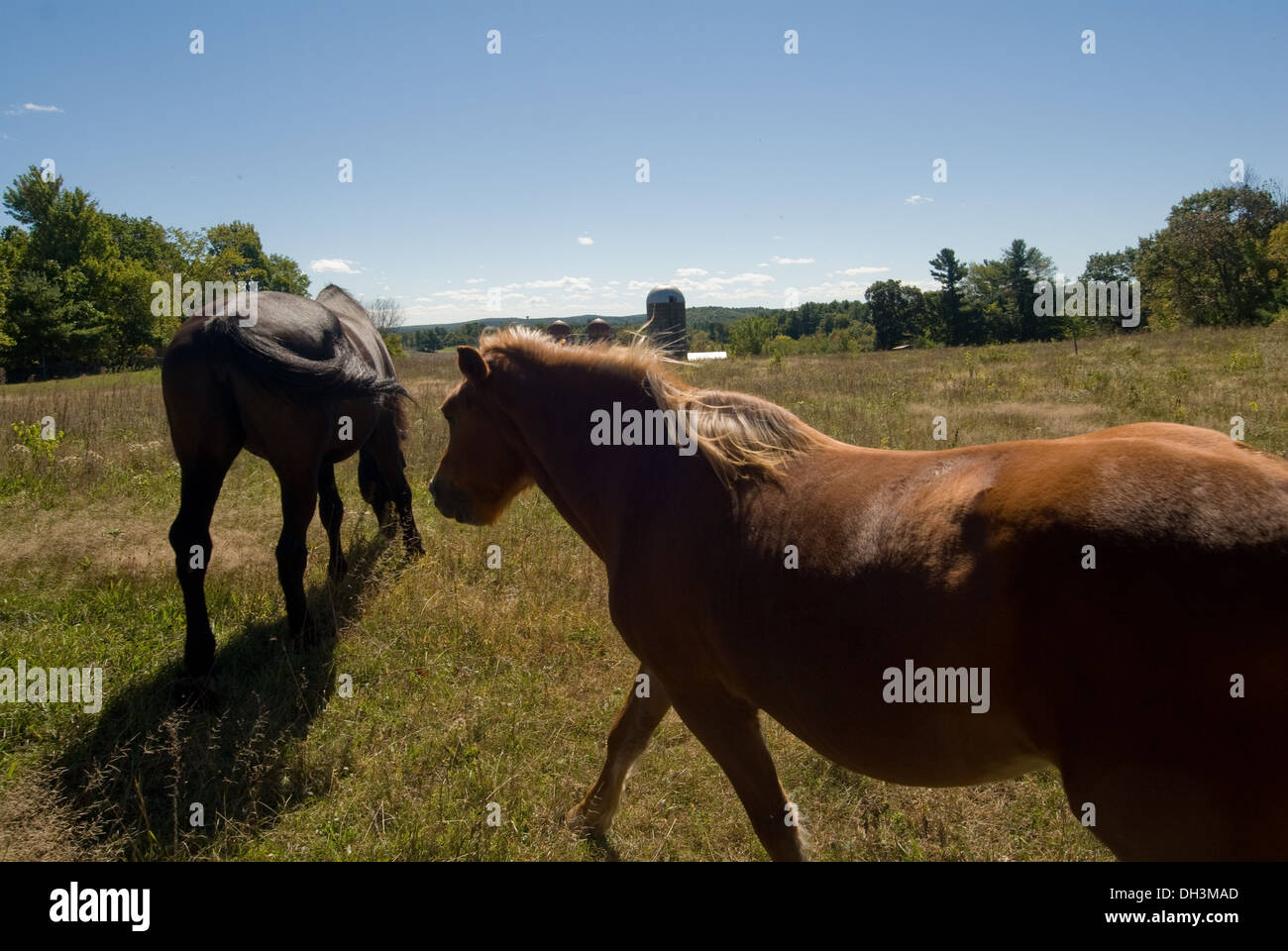 New hampshire farm hi-res stock photography and images - Alamy