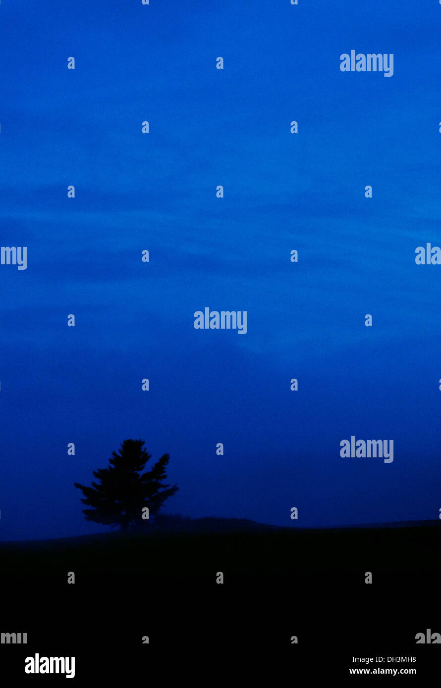 Alone tree with clouds hi-res stock photography and images - Alamy