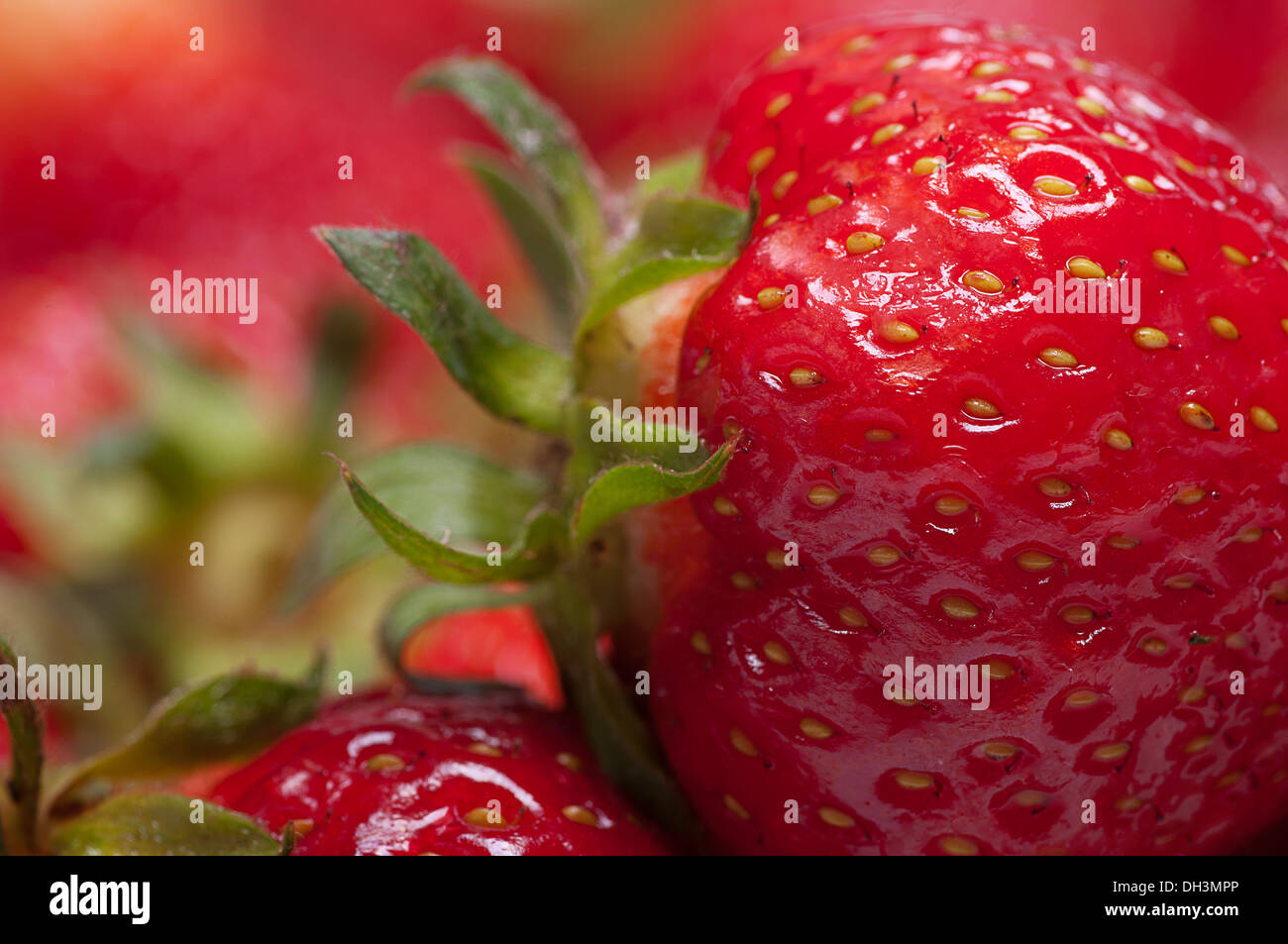 Strawberry with other strawberries Stock Photo - Alamy