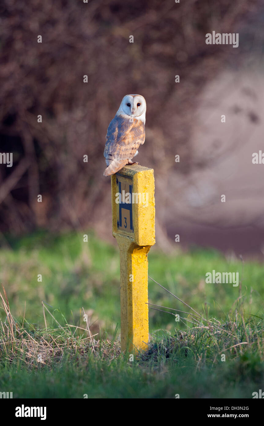 Water hydrant sign hi-res stock photography and images - Alamy