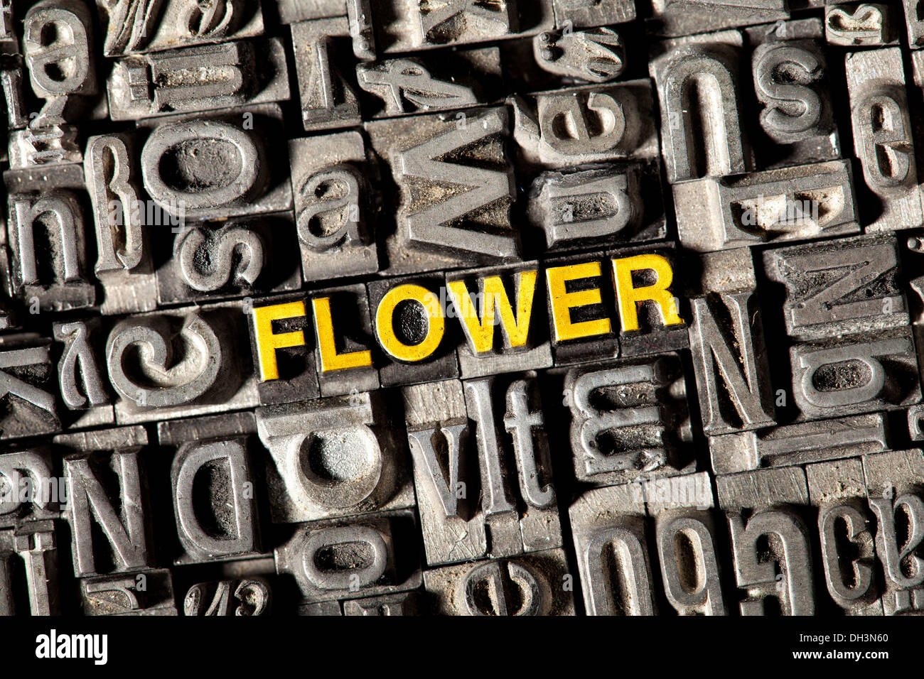 Old lead letters forming the word FLOWER Stock Photo - Alamy