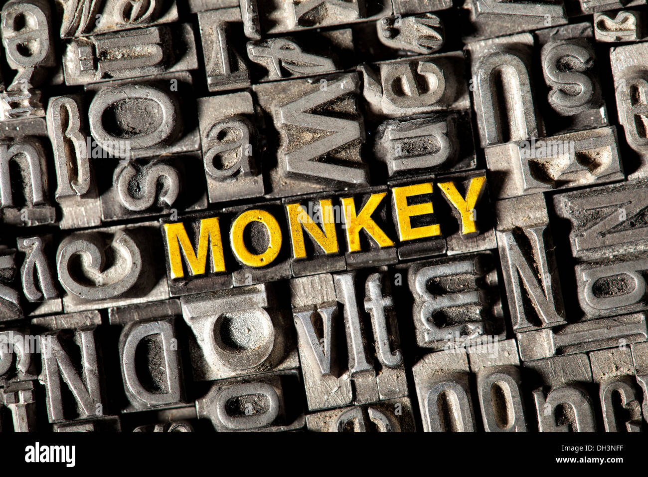 Old lead letters forming the word "MONKEY Stock Photo - Alamy